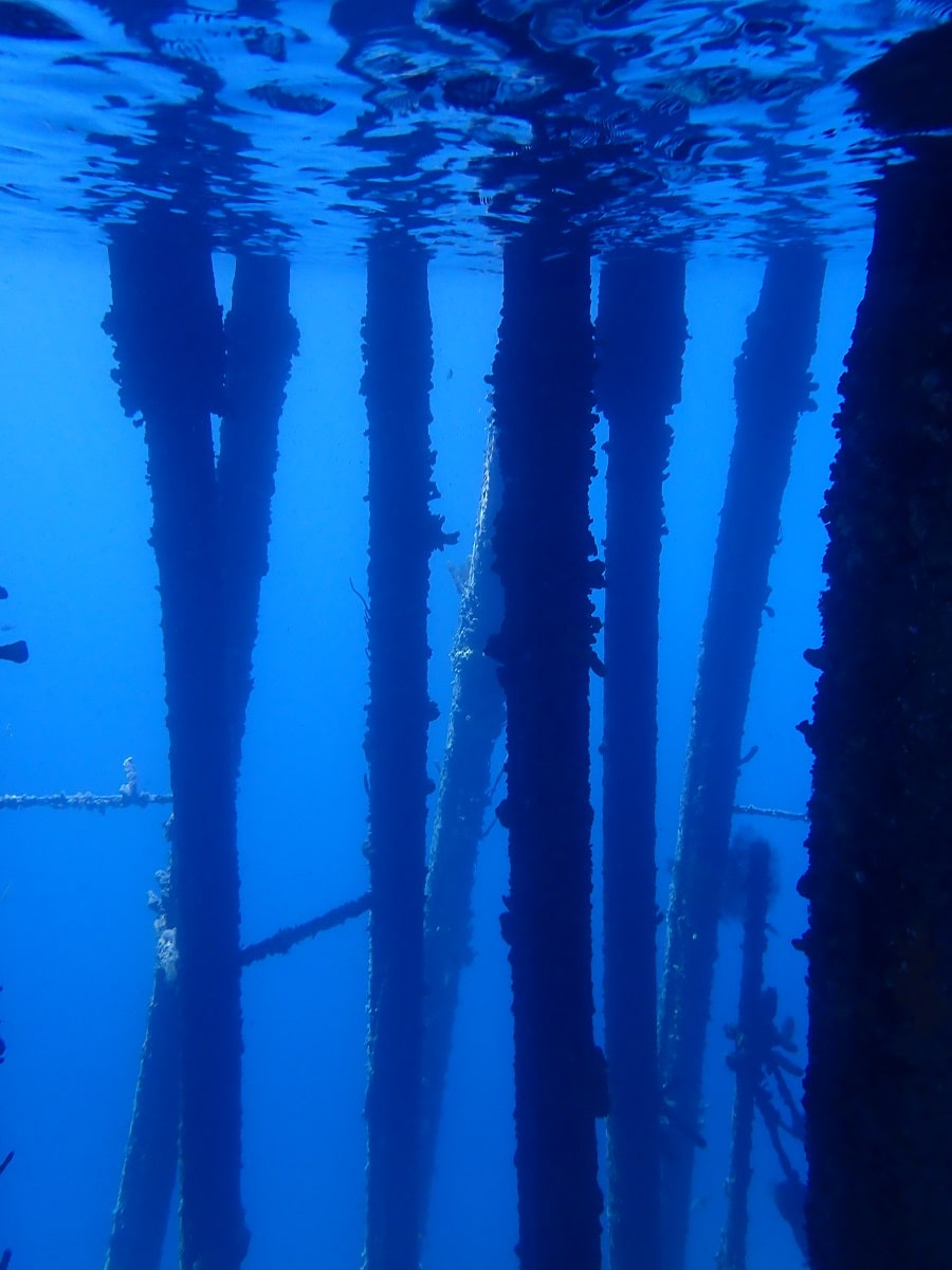Tugboat Beach Curaçao: Snorkeling a boat wreck - Snorkel Things